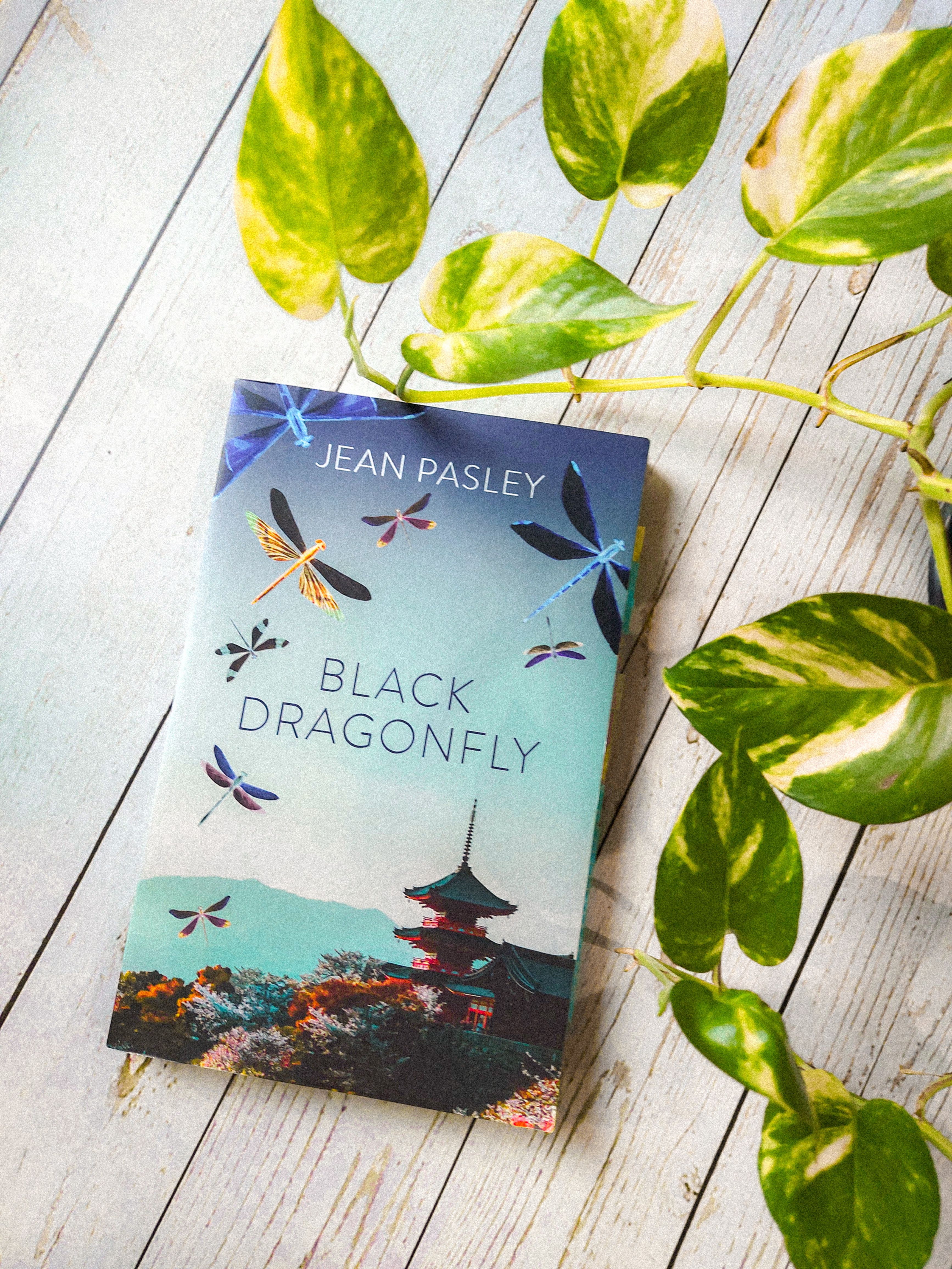 Pages Review | “Black Dragonfly” by Jean Pasley – PRINCESS & PAGES